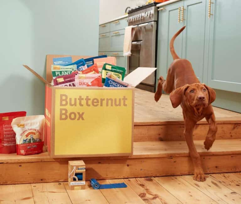 Butternut Box Carrier Management - Case Study | Scurri